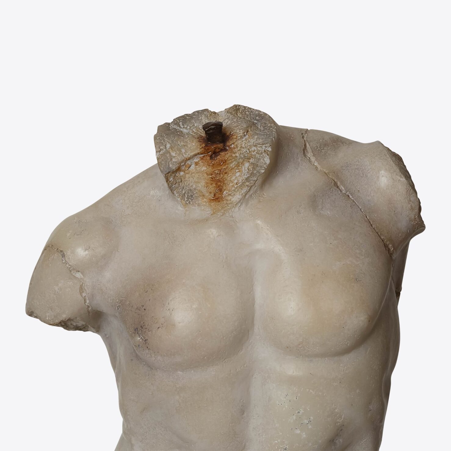 Large Maximillian Torso - male torso sculpture