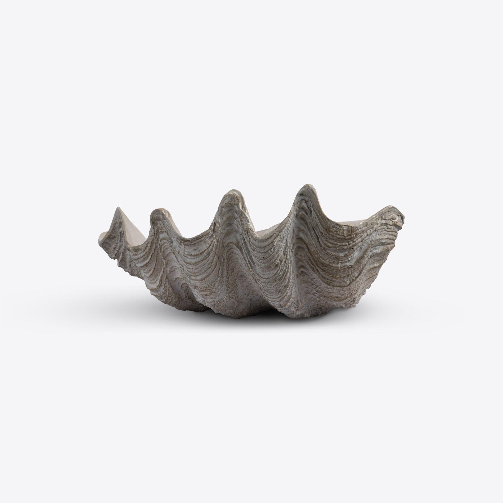 Clam Shell - Small - Pure White Lines